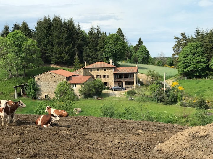 Belle Ferme De Pays Rénovée. - Monistrol-sur-Loire