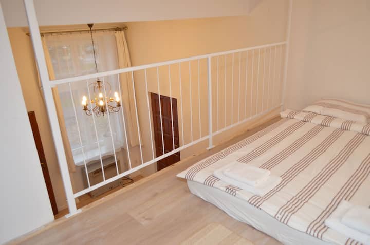 Spacious Apartment City Center/old Town/wawel - Krakow