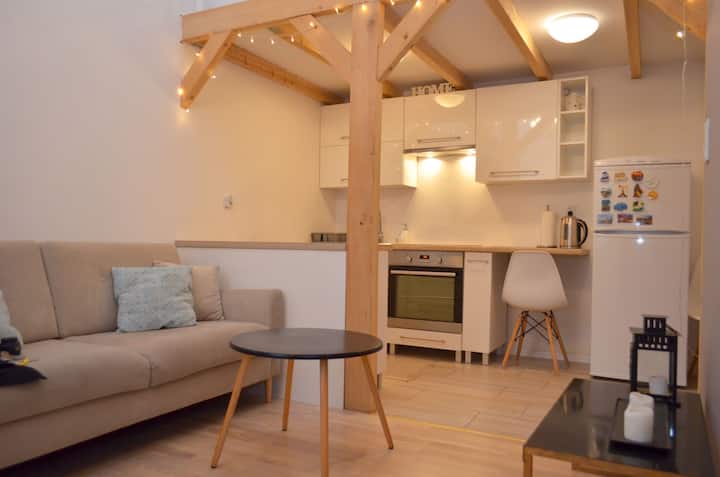 Spacious Apartment City Center/old Town/wawel - Krakow