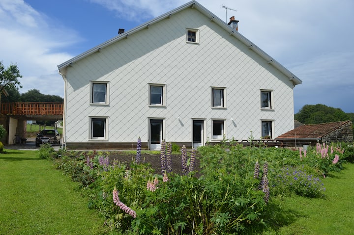 Maison En Campagne De Plain-pied - Vosges