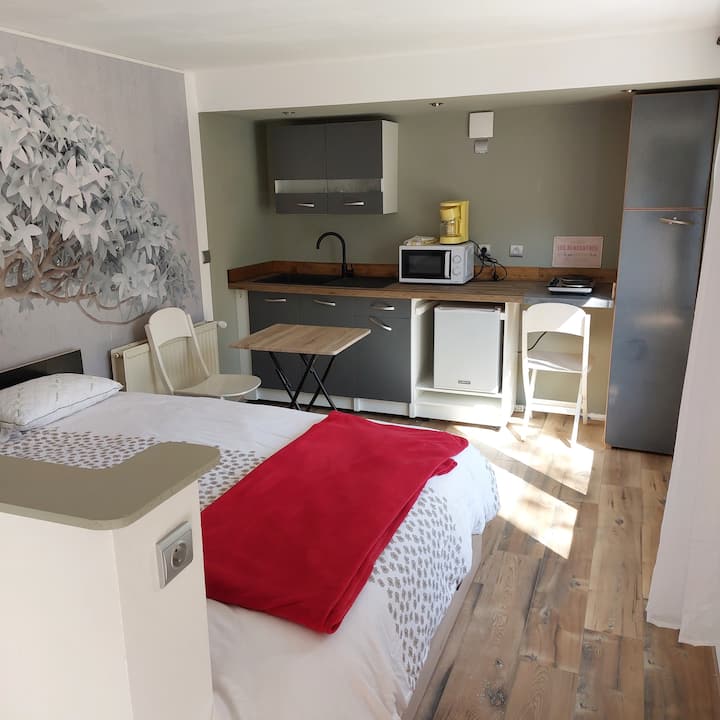 Logement Entier, Mini Studio. - Bourg-Saint-Andéol