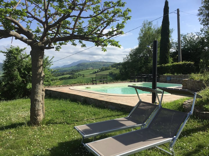 Tolle Wohnung, Ideal Für Hunde - Pergola