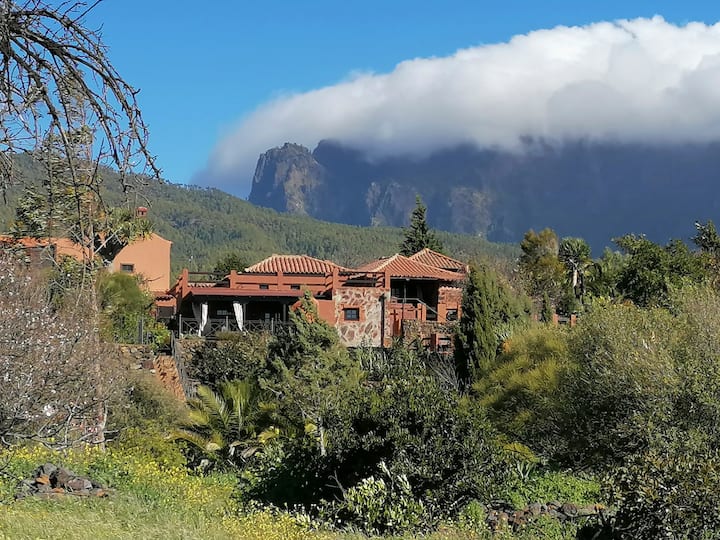 Hacienda La Centenaria, Una Invitación A La Vida - El Paso
