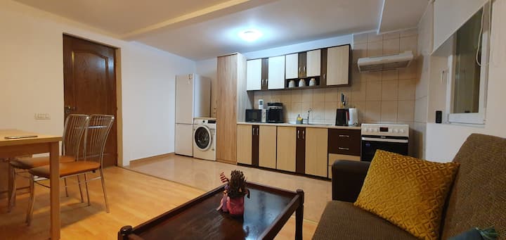 Moonlight-house/dark Side Apartment - Sinaia