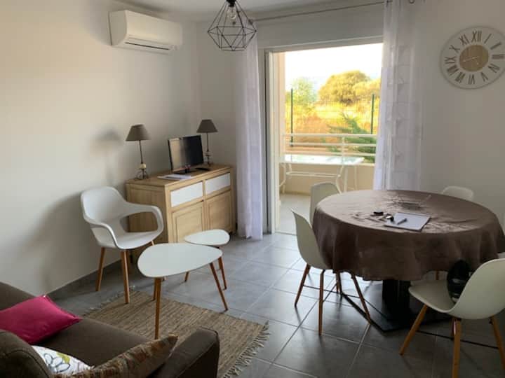 T2 Climatisé 35 M2 Avec Terrasse - Propriano