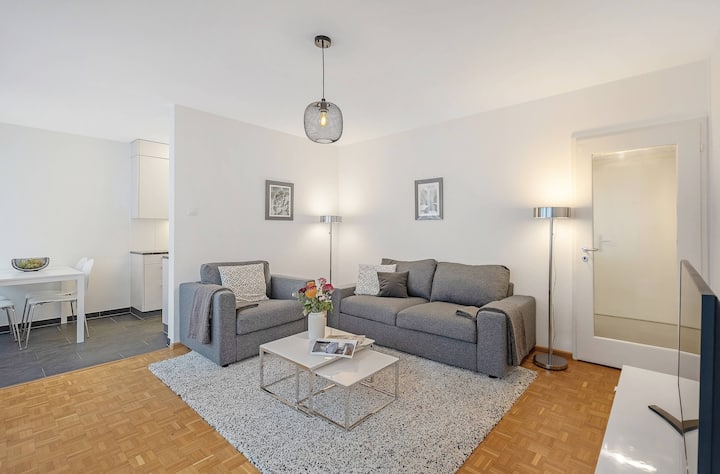 Spring Time In Newly Furnished Flat (Gun083a) - Bâle
