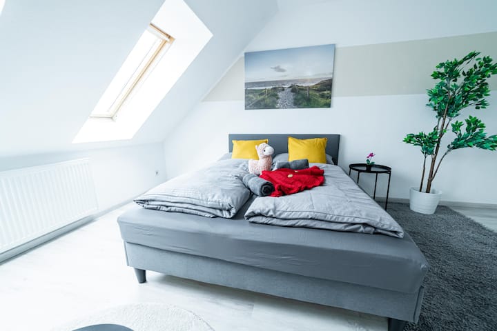 Fullhouse | Magdeburg | L10-4 | Loft-flair - Magdeburg