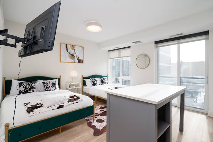 Luxury Apartment Dt - Walk Everywhere! - Minneapolis, MN