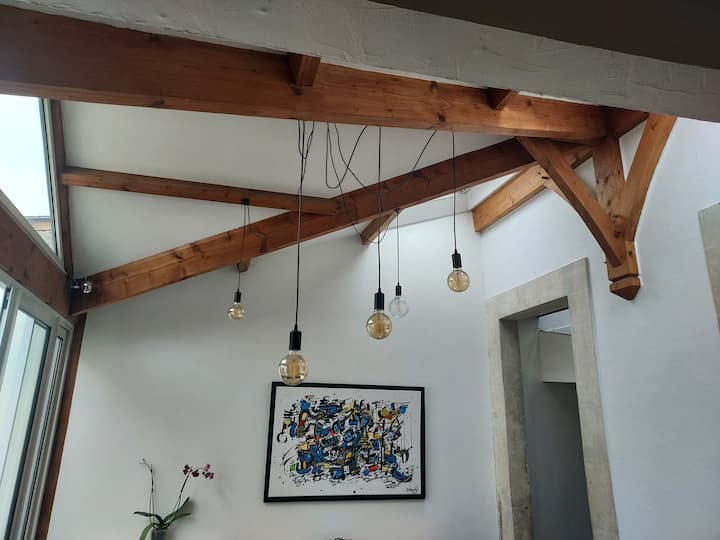 Belle Maison 8 Pers.hyper Centre - ル・マン