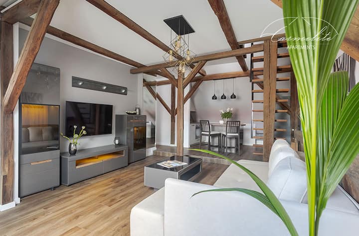 Spacious Sky Carmelite Apartment - Vilnius