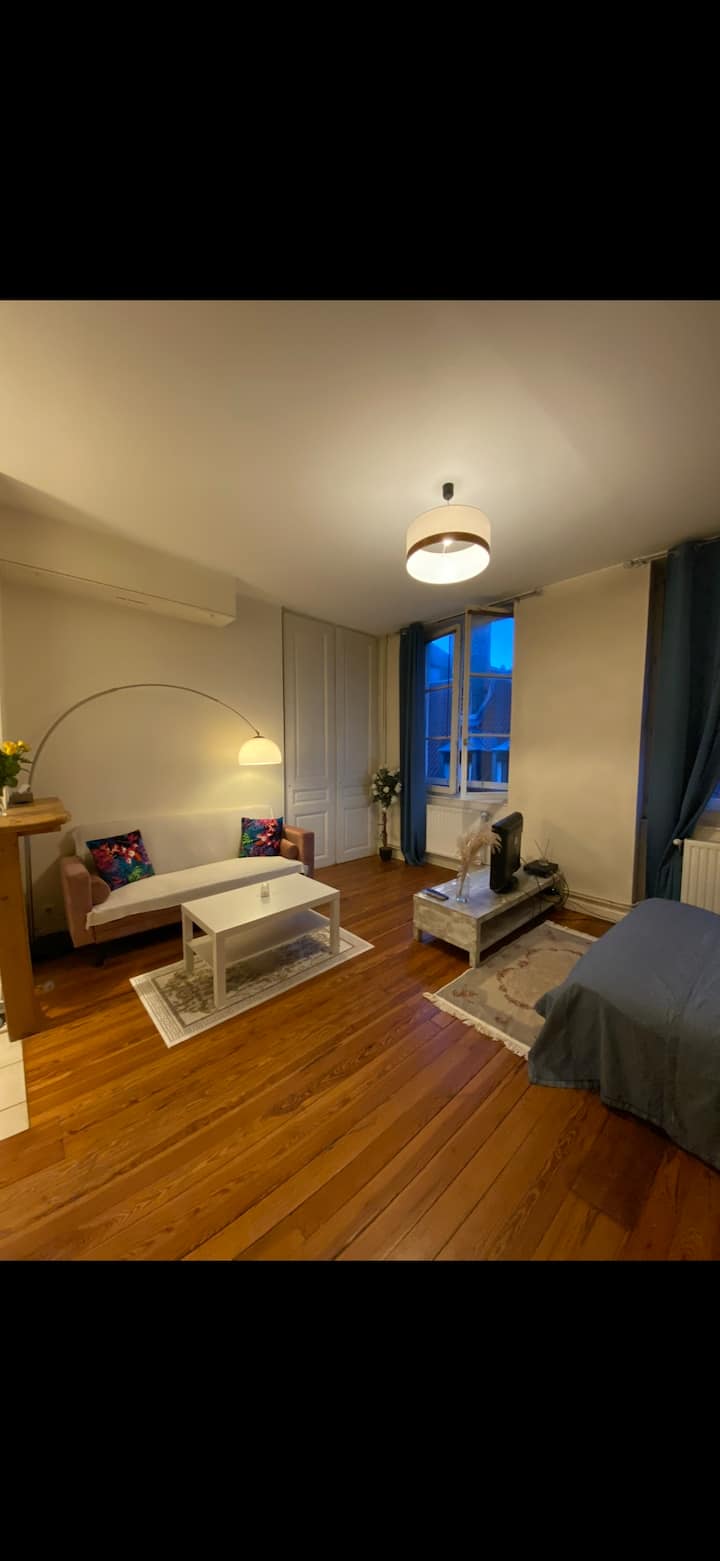 Studio Centre Ville - Lyon