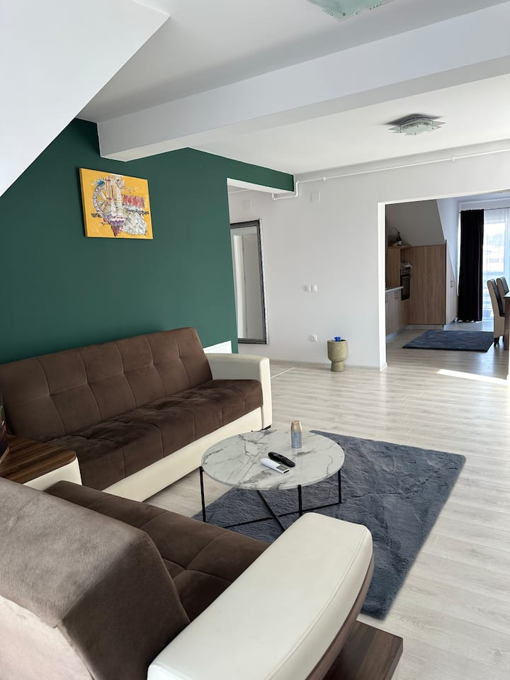 The Attic Penthouse - Târgu Mureș