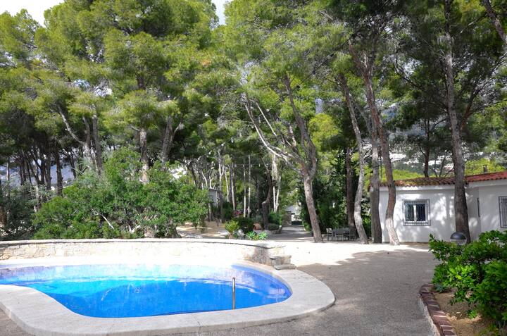 6000m2 Of Peace & Privacy (With Own Pool & Padel) - Altea
