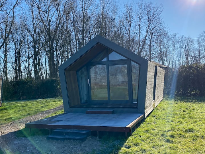 Tiny House Roos In Diamant Vorm - Middelharnis