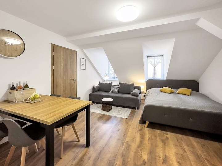 Apartment Katrin 1 / City Centre - Opened 2023 - Karlsbad