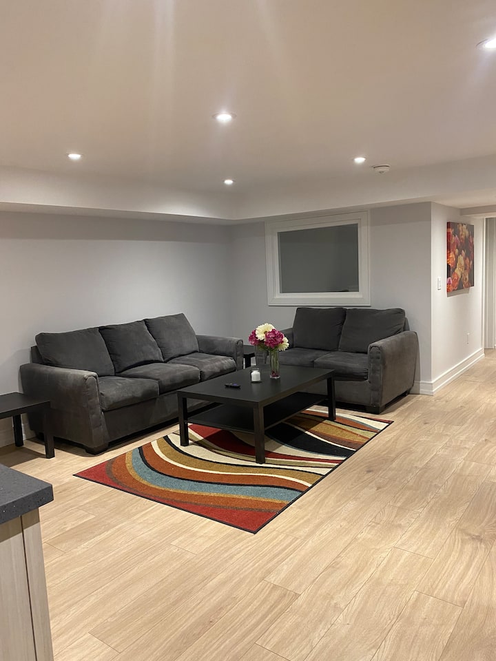 Brand New Basement Apartment/day Light In - Toronto