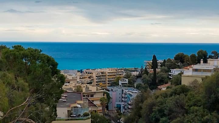 Belle Vue Mer Et Jardin - Niza