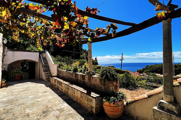 Historic Villa In Dubrovnik - Dubrovnik