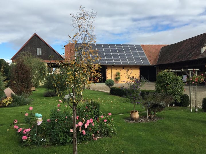 Gîte La Maison De Jules - Biesheim