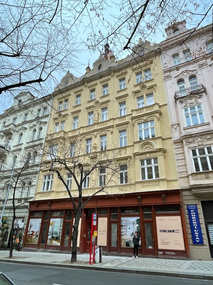 The Perfect Flat In Prague 2 - Prague