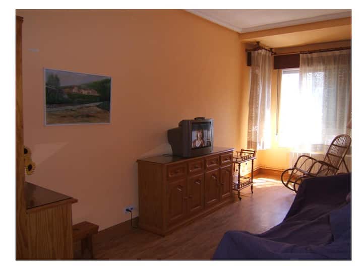 Piso Grande Centro Santander - Santander