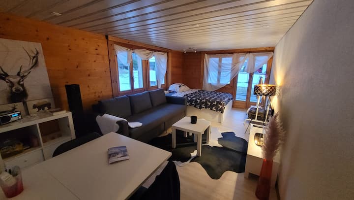Studio A La Lenk - Lenk