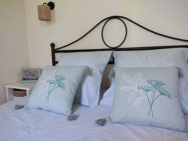 "La Vague Des Pins", Calme Dans La Pinède - Lacanau