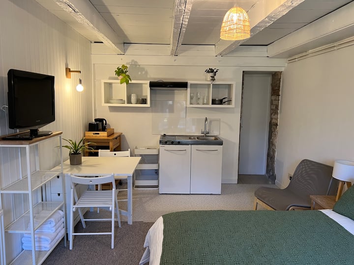 Annex With En-suite, Kitchenette - St Ives