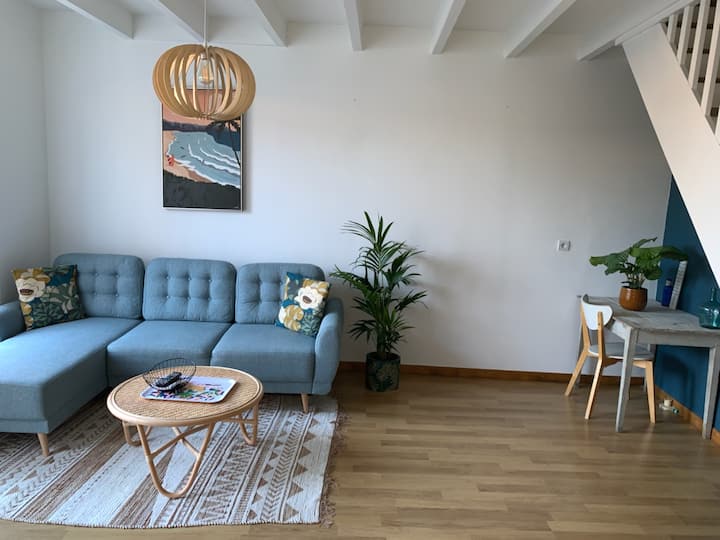 Logement Entier Maison De Ville - Niort