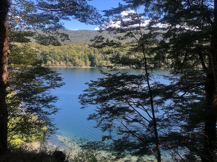 The Beech Bach - Fiordland