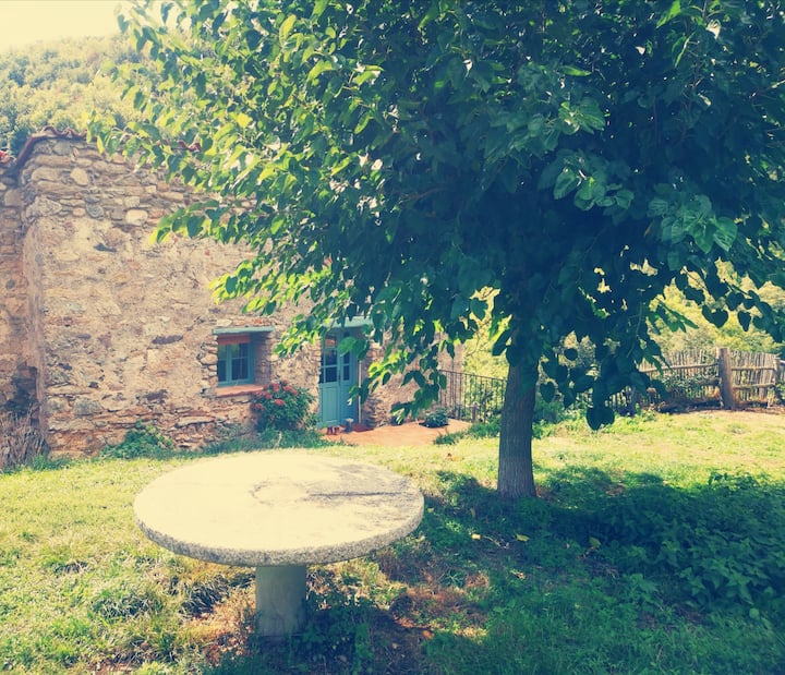 Gite Rivière Havre De Paix Zen 20hectares 5/6 Pers - Arles-sur-Tech