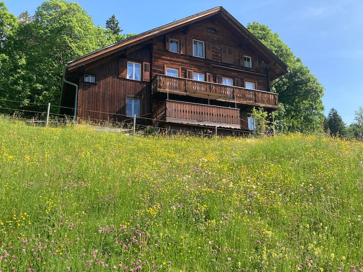 Fewo Haus Hunduren Ch-braunwald - Elm