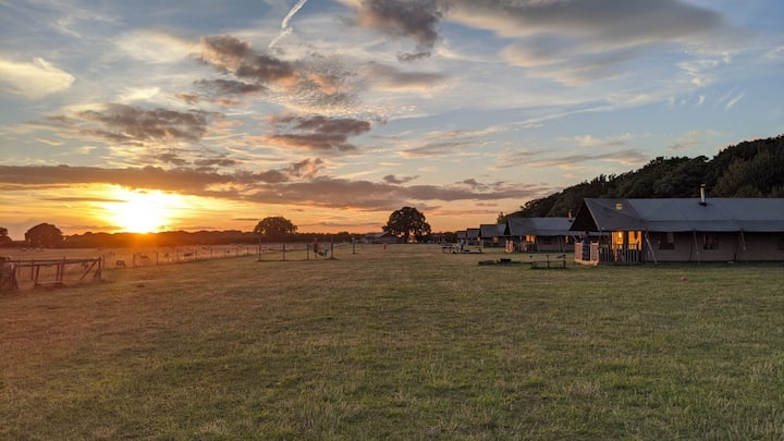 Summerfield Safari Lodges - Brancaster