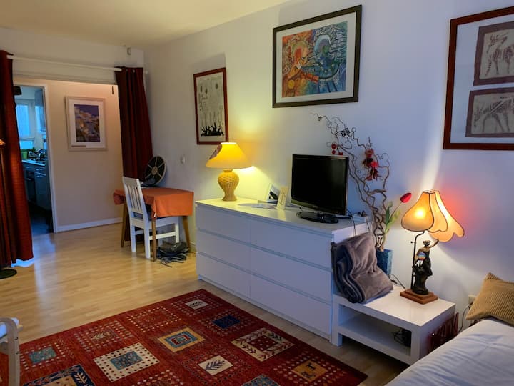 Appartement Chaleureux - Gare De Bondy - Le Bourget