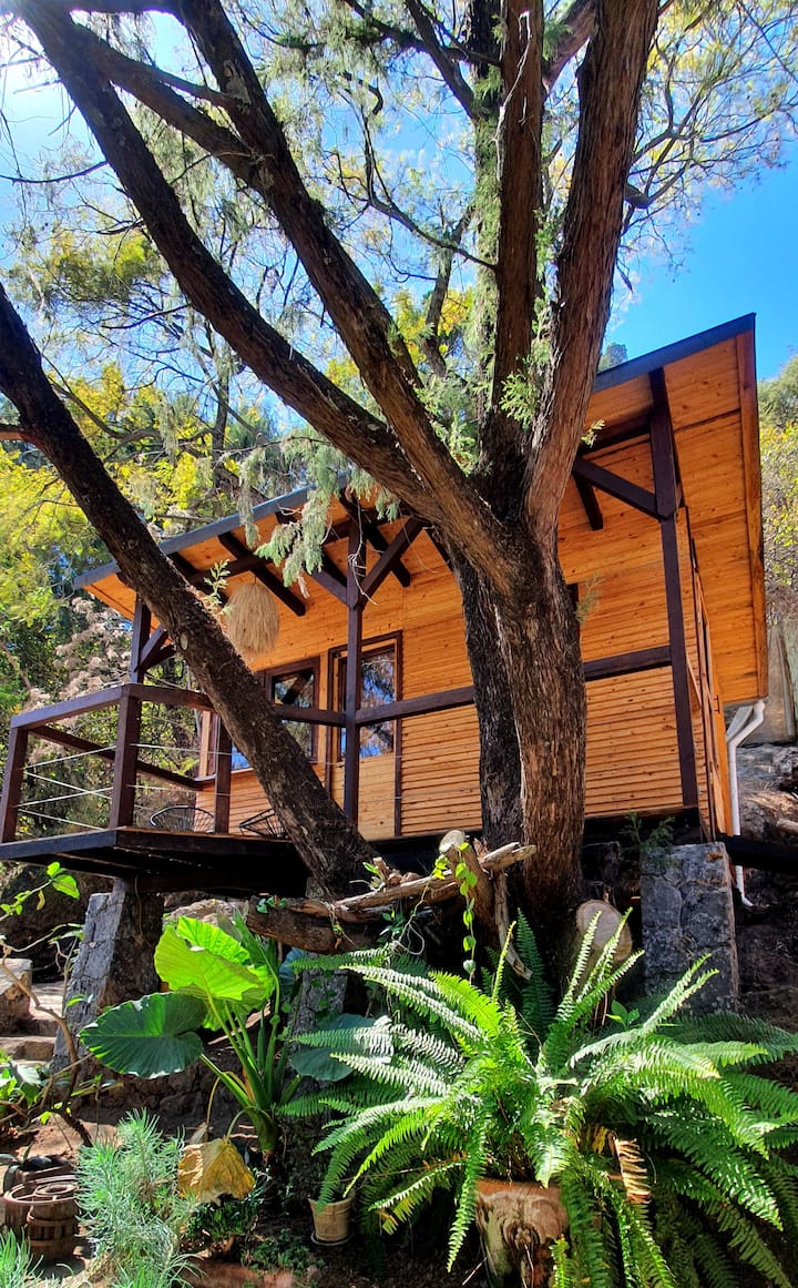 Para 4 · Cabaña Y Estudio Con Baño Exclusivo - Tepoztlán
