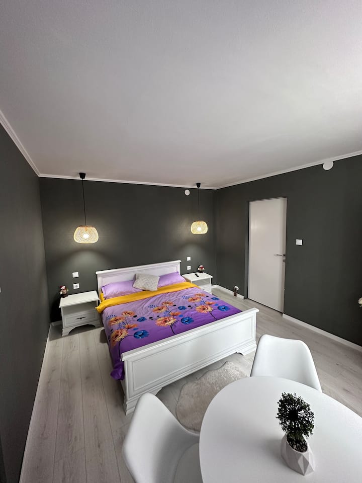 Luxury Apartment - Toplița