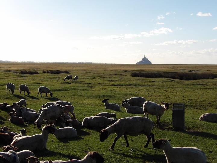 Le Rayon De Soleil - Beauvoir