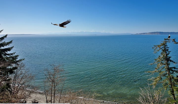 Bluff House On Eagles Landing - Clinton, WA
