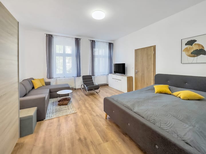 Apartment Lukas 2 / City Centre - Opened 2023 - Karlovy Vary