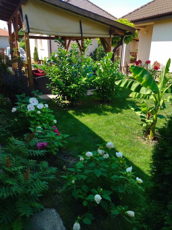 Hajdúszoboszló 4 Fős Apartman - Hajdúszoboszló