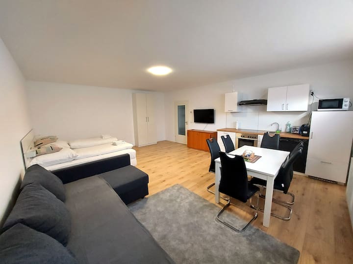 Zwei Zimmer Apartment Im Taunus - Wehrheim