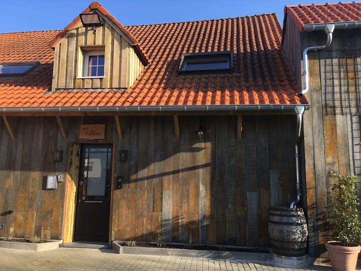 B&b 'T Plein Hombeek Kamer 3 - Mechelen