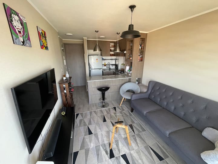 Vina Del Mar Gregorio Maranon - 칠레