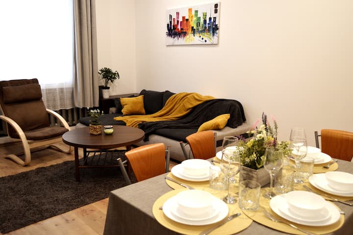 Spacious City Center Family 2 Bedrooms Apartment - Riga