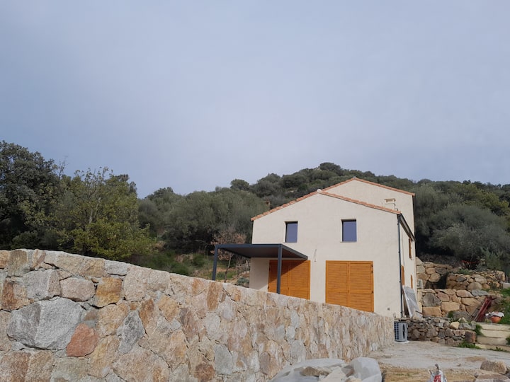 Bas De Villa Piscine Et Jacuzzi - Forêt de Bonifatu