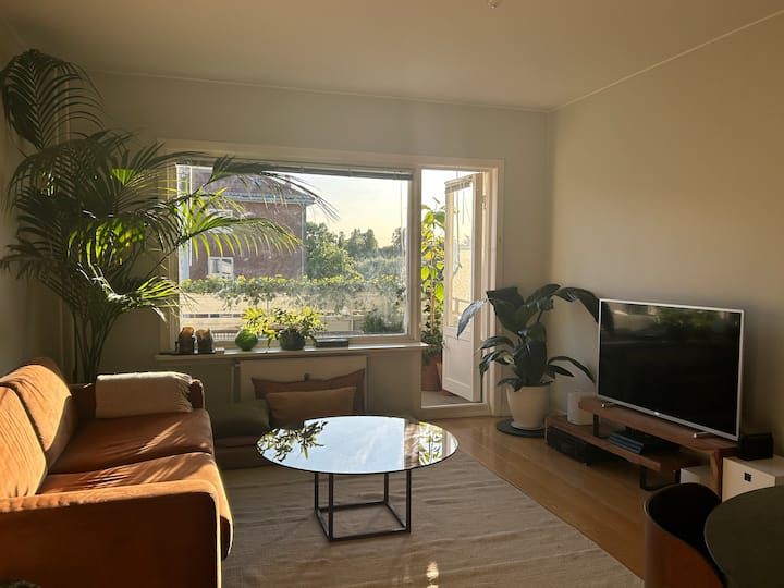 Cosy And Spacious Flat In Tøyen - Oslo