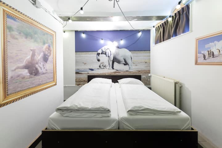 Mini-budget Double (Shared Bathroom) - The Hague