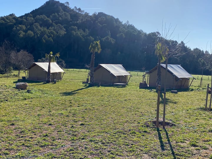 Tent Standard-vall De Codó - Spanien