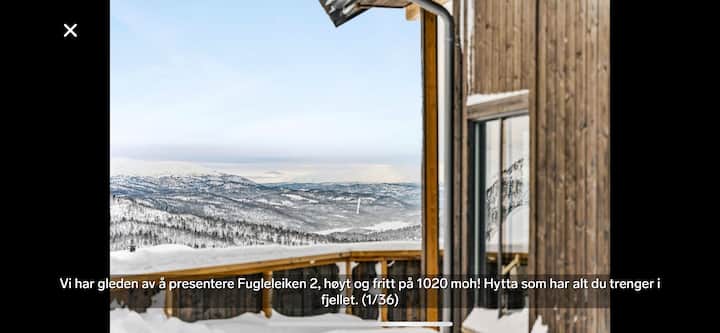 Holtardalen På Toppen Ski In Ski Out - 挪威
