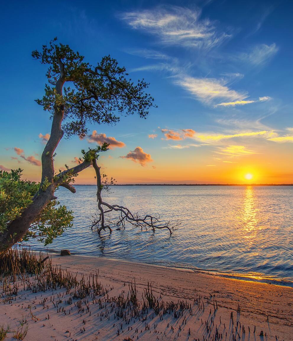 Stuart Vacation Rentals | Homes and More | Airbnb